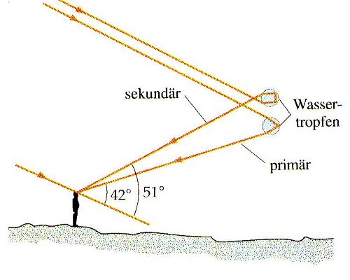 Entstehung des sekundären Regenbogens (Regenbogenwinkel 51°) durch ...